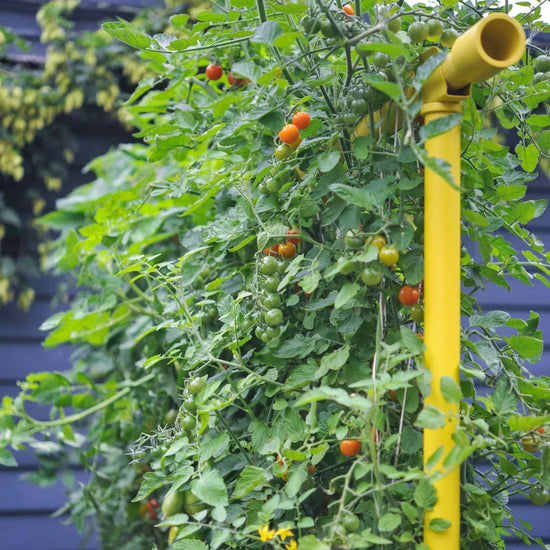 Vegetable Garden Freyr Trellis – Epic Gardening