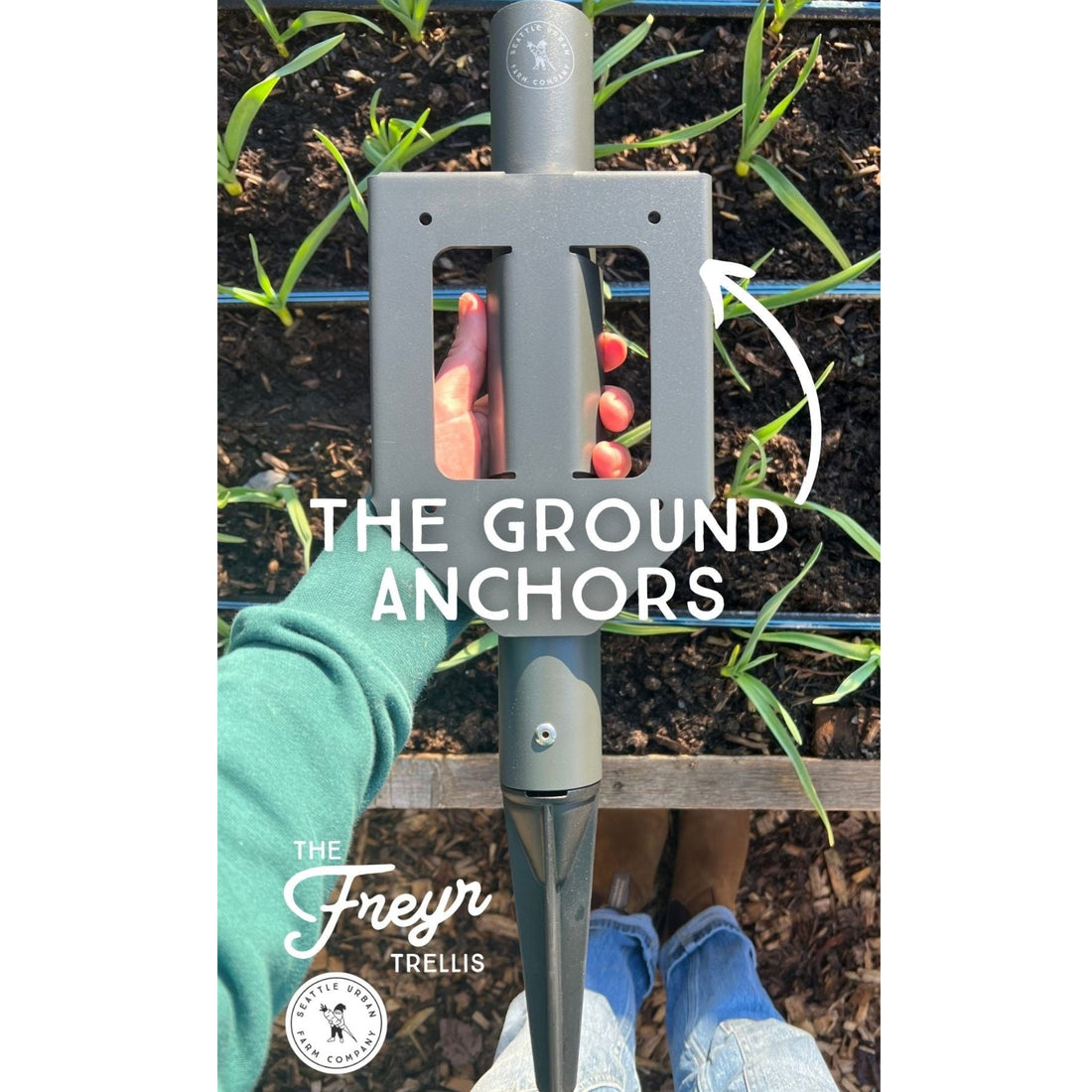 Vegetable Garden Freyr Trellis – Epic Gardening