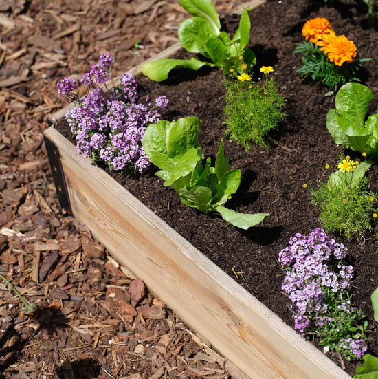 Epic GardenBox – Epic Gardening
