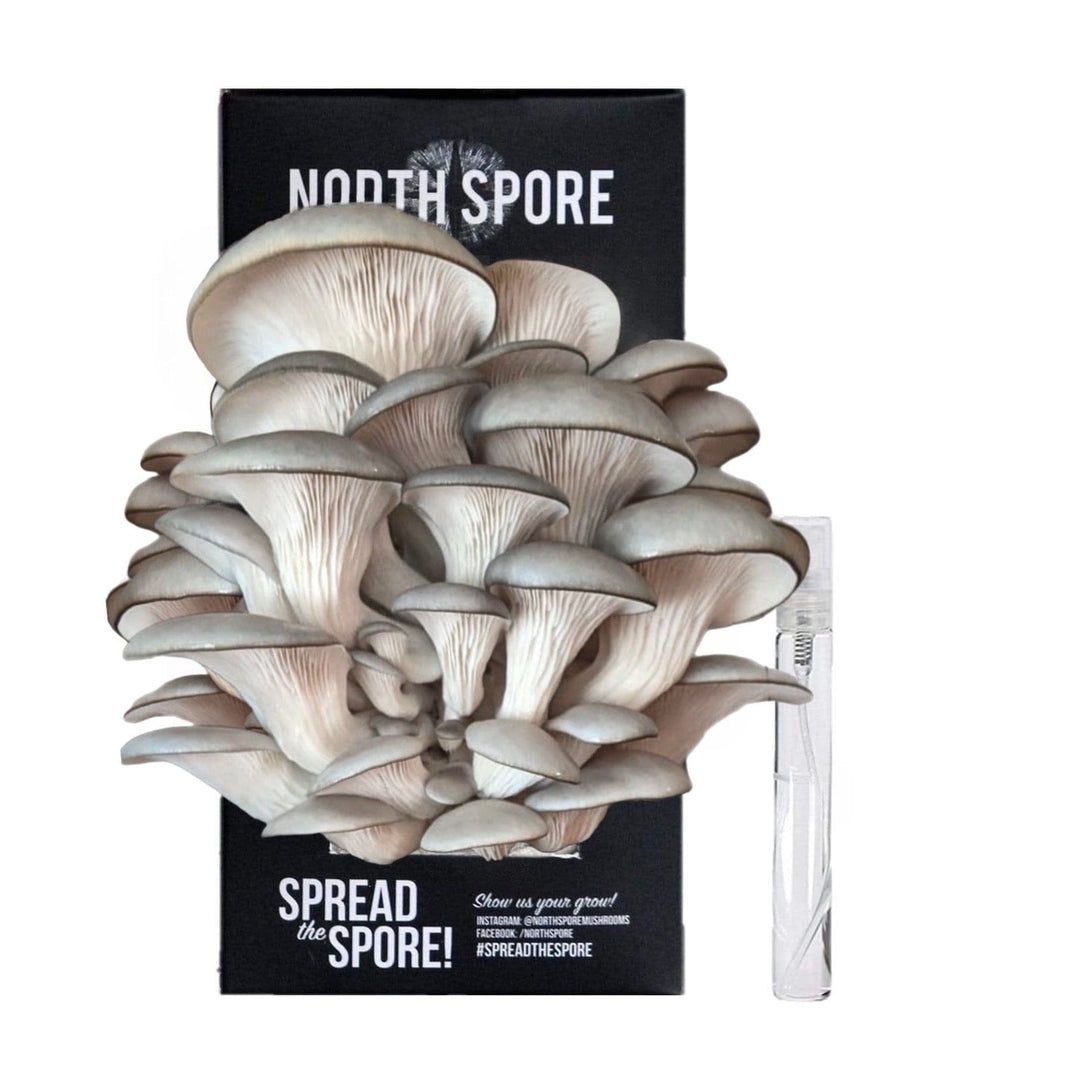 North Spore Mushrooms Countertop Growing – Epic Gardening