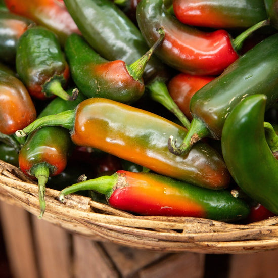 Megatron Jalapeño Chile Pepper Seeds – Epic Gardening