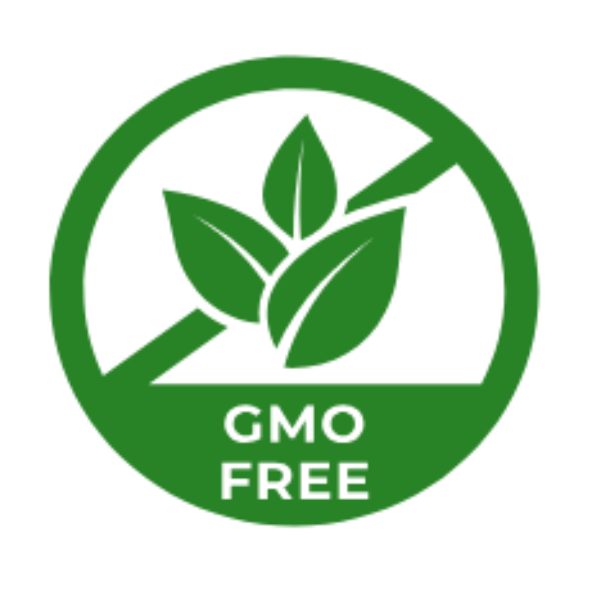 Epic Seeds – Epic Gardening